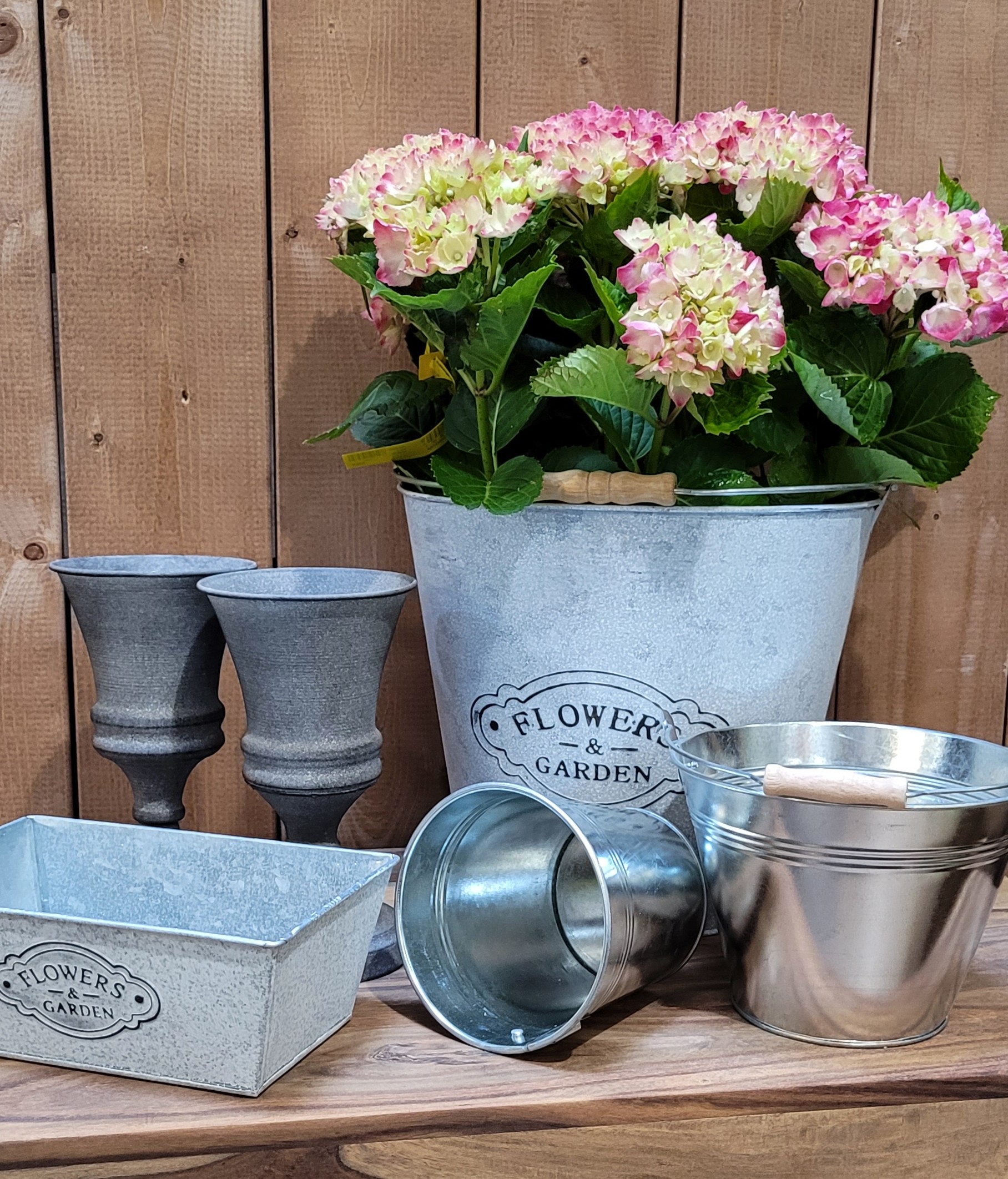 Metall | Warengruppen | Landgard Deko & Floristikbedarf