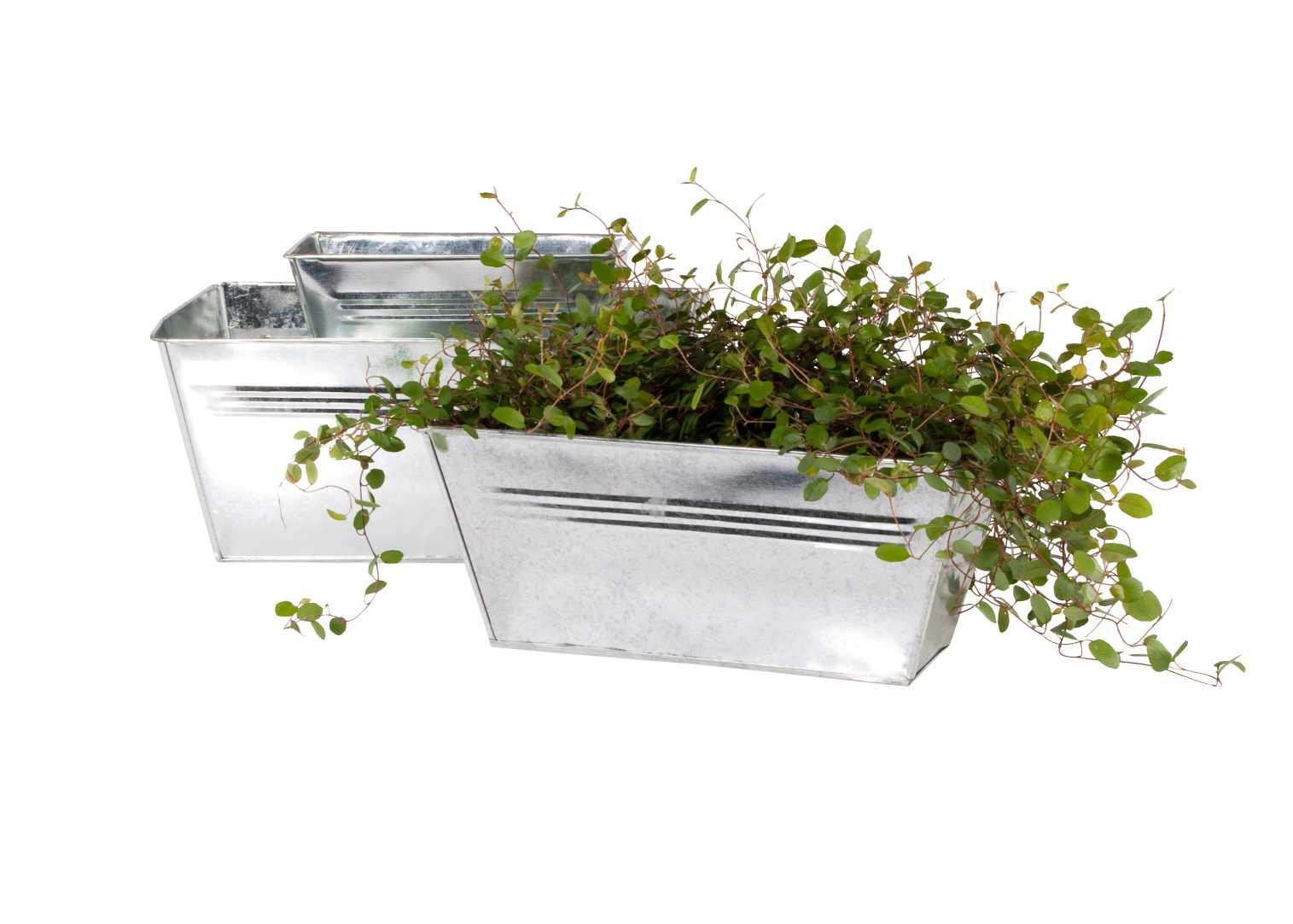 Zinkpflanzschale eckig 30 cm | Zink | Metall | Warengruppen | Landgard ...